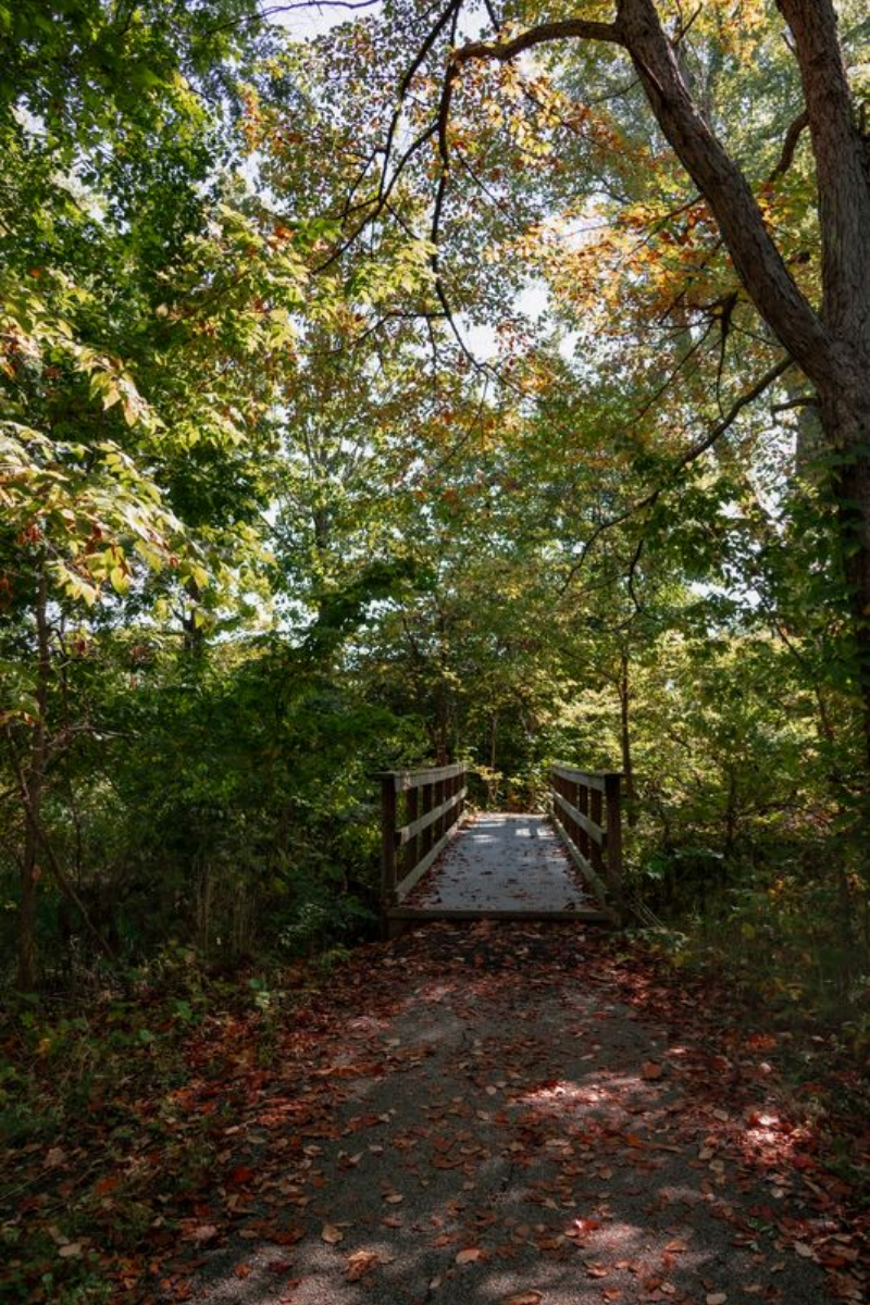 Take a Look-See – Jill Jensen Photography