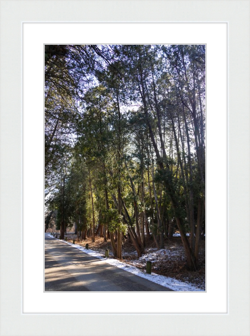 The Ride Home – Jill Jensen Photography